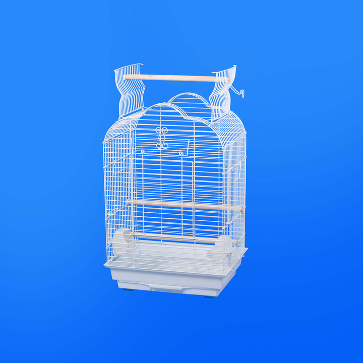 Bird Perches, Large Bird Perch, Bird Window Perch