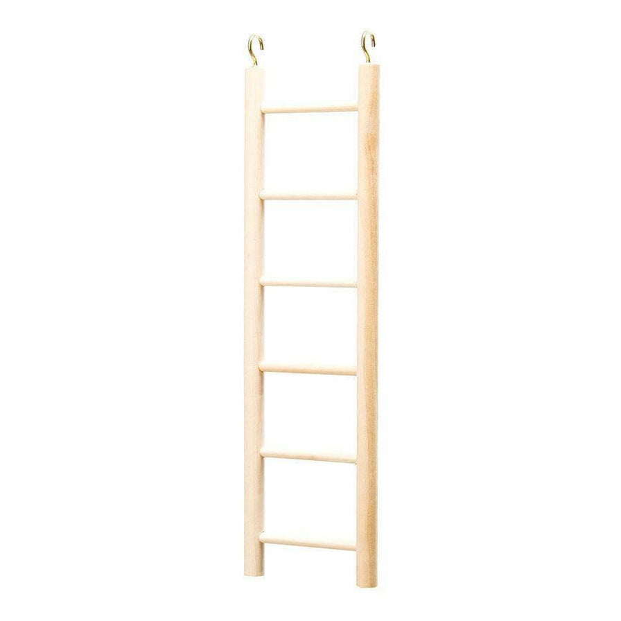 Bird Perches, Large Bird Perch, Bird Window Perch — All Things Birds