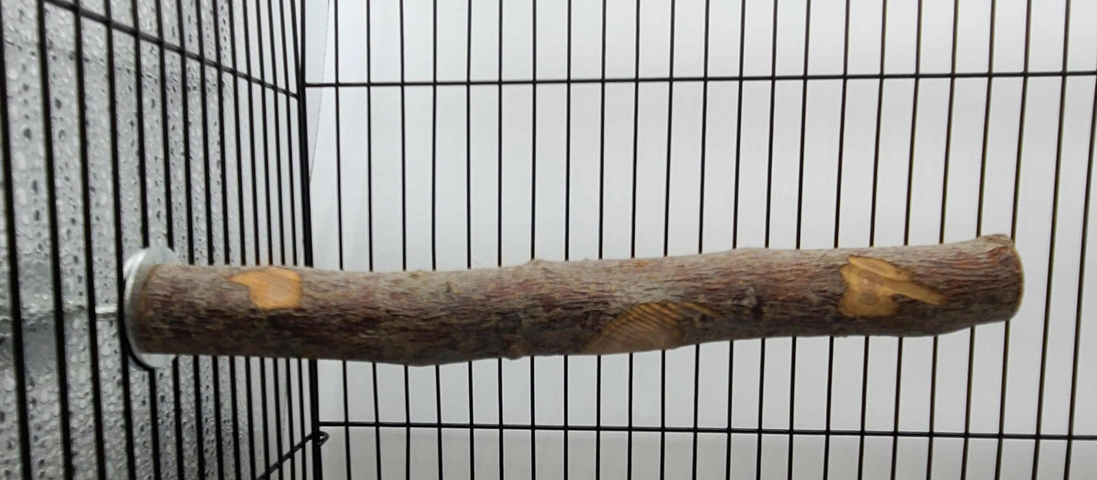 Bird Perches, Large Bird Perch, Bird Window Perch