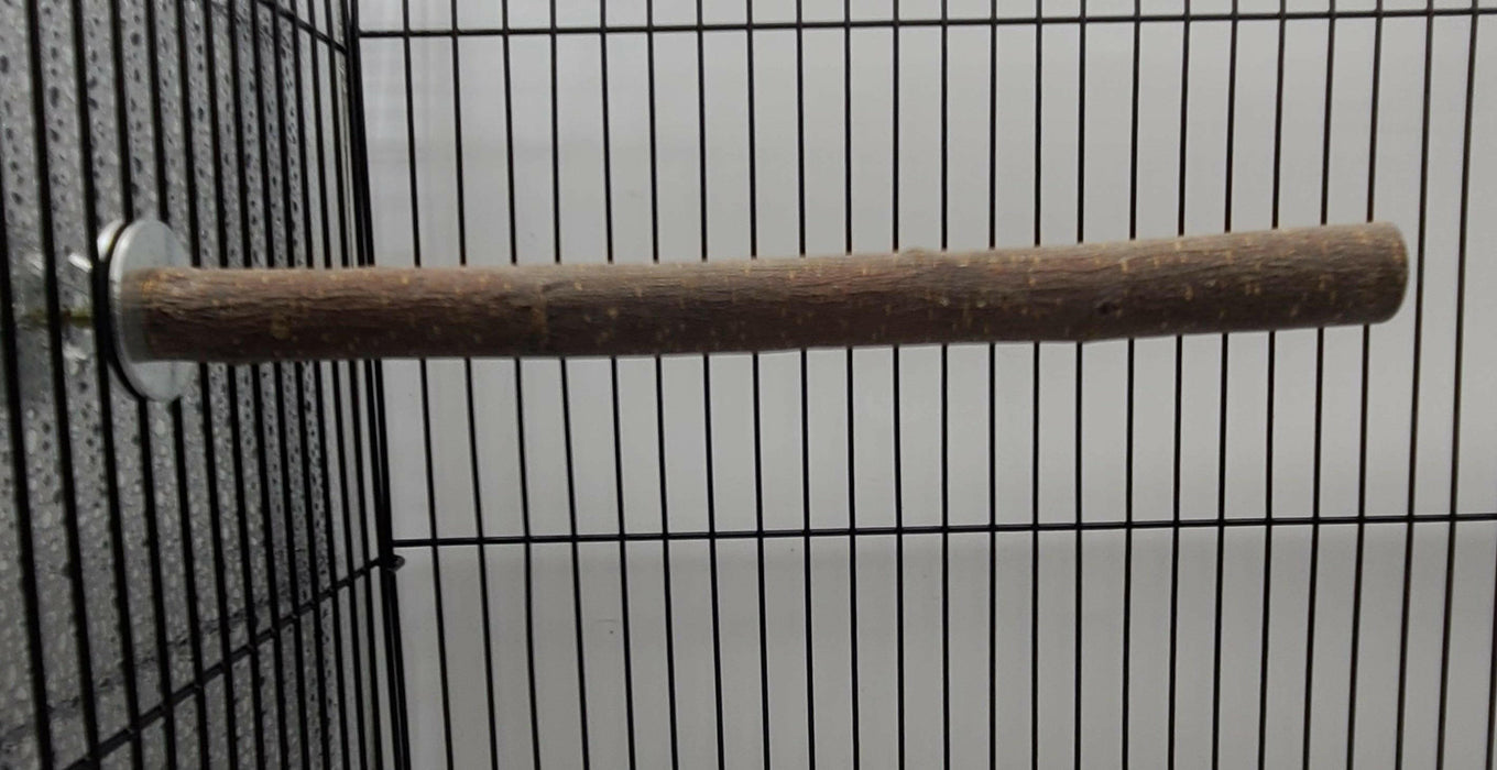 Natural Bird Perch
